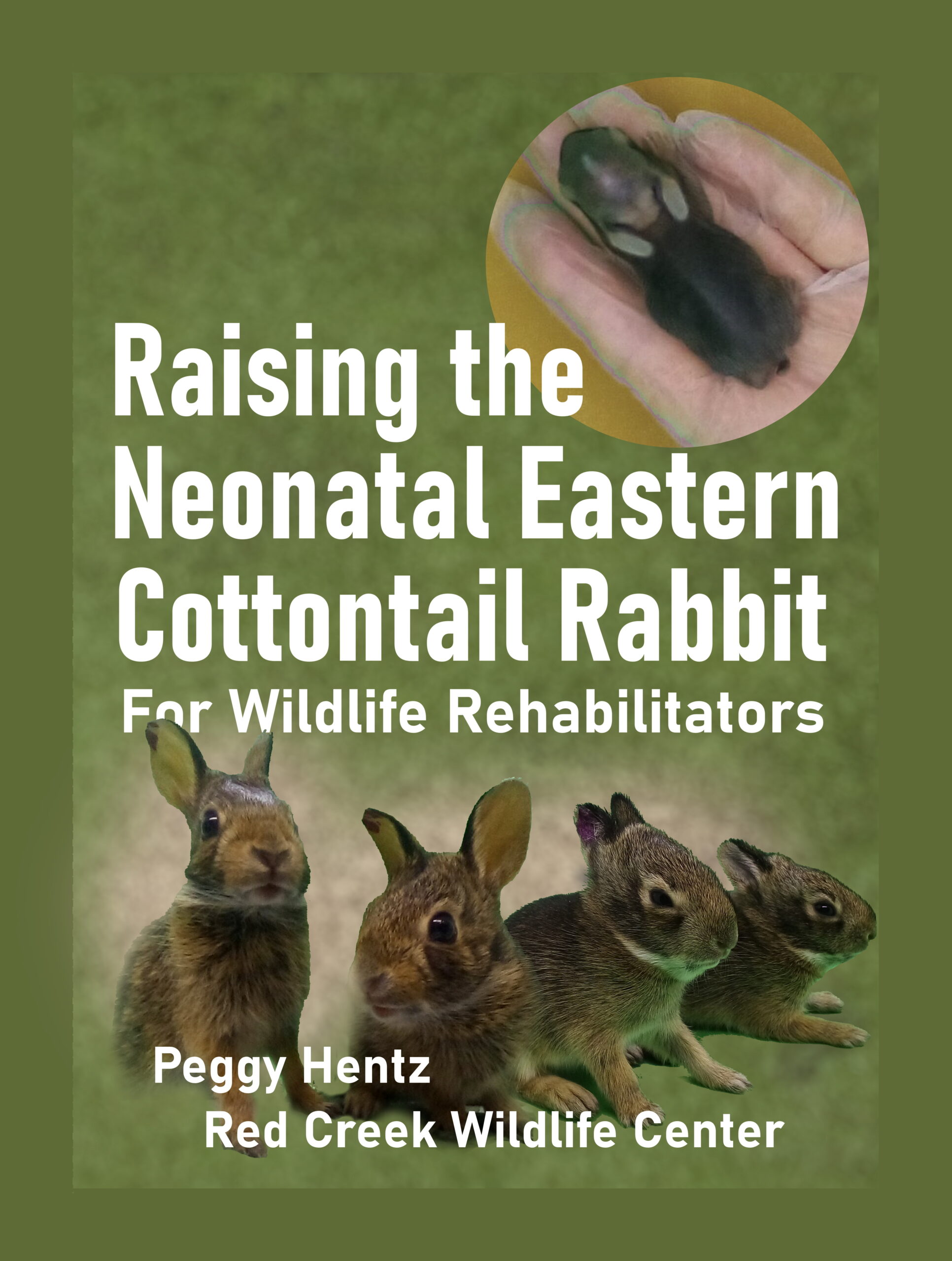 Red Creek Publications