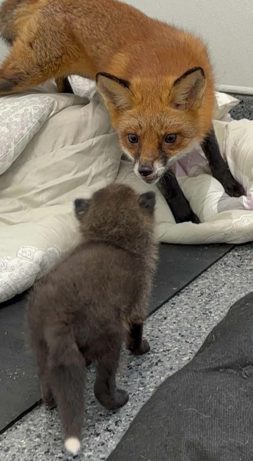 2025 Spring Newsletter